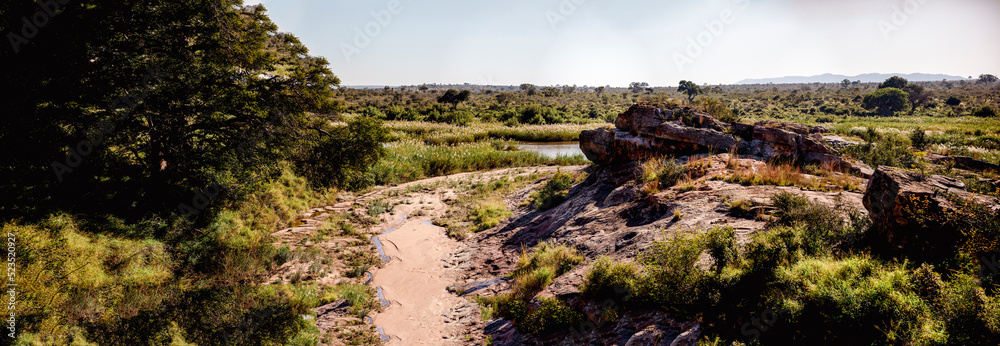 Beautiful scenery of the dry rivers of the African savannah of South ...