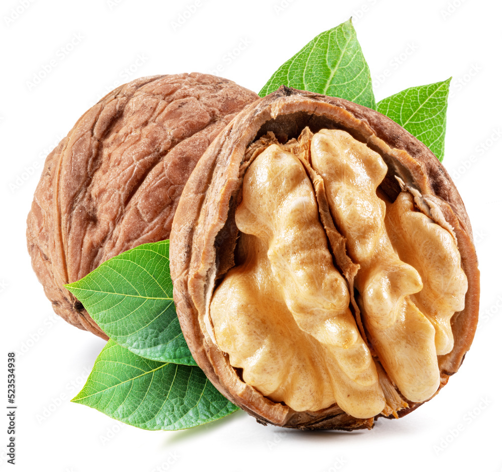 Walnuts, walnut kernel and green leaves isolated on white background ...