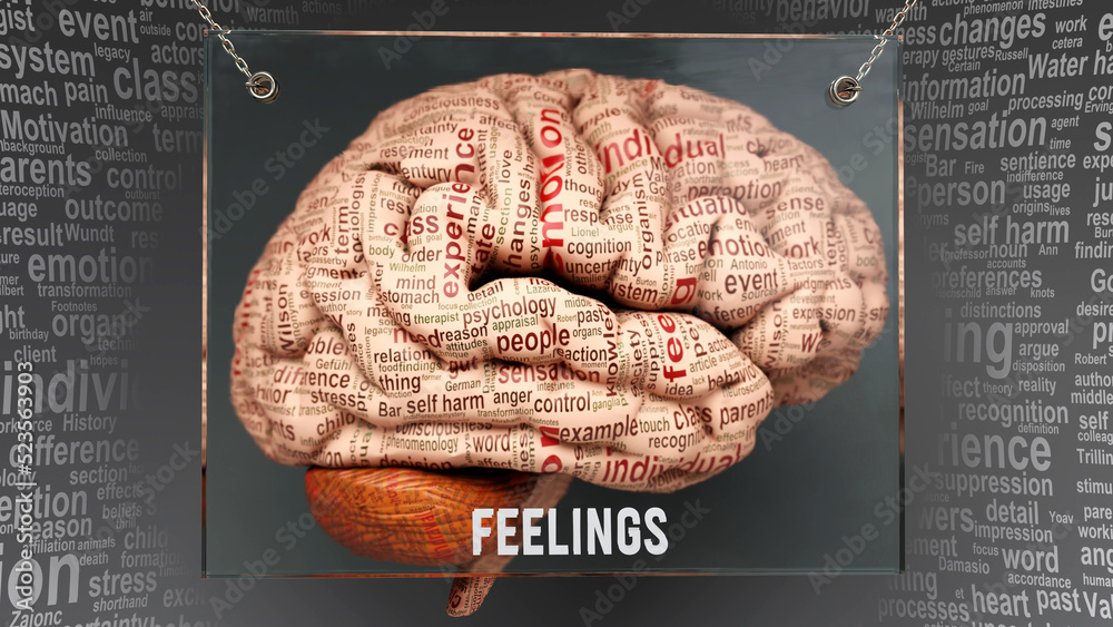 Feelings in human brain - dozens of important terms describing Feelings ...