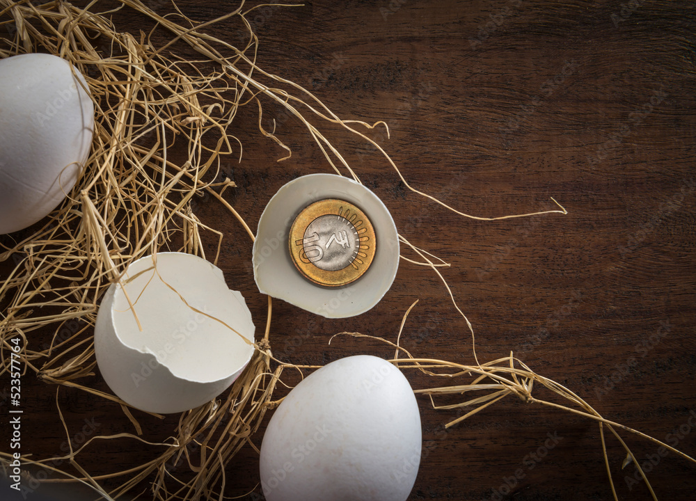 Ten Indian rupee coin in a cracked egg shell. Concept for 'fix deposit ...