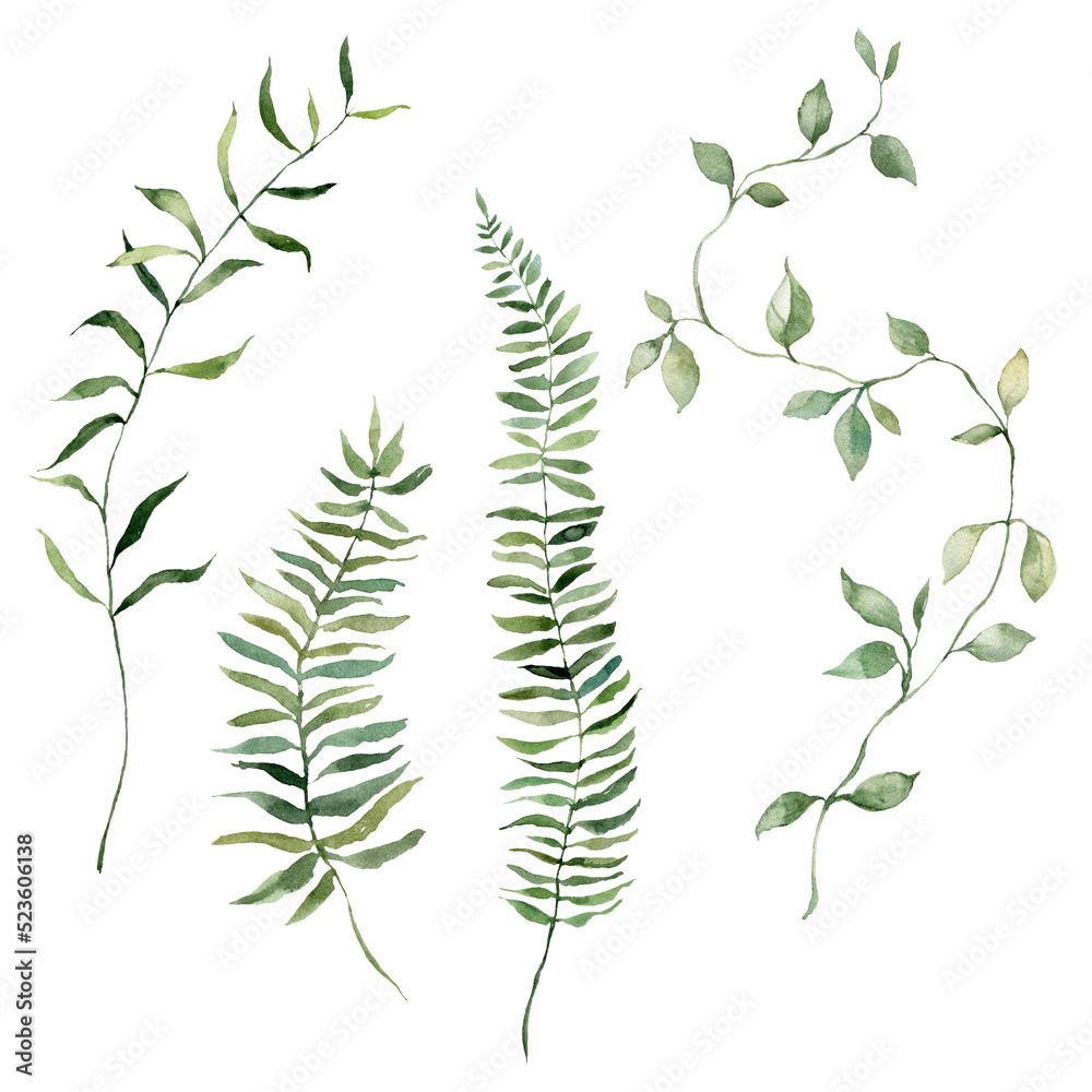 Watercolor tropical set of fern leaves. Hand painted floral elements ...