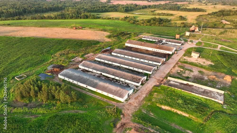 Farm buildings at agriculture field on sunset. Cowshed with cows and pigs in rural, aerial view ...