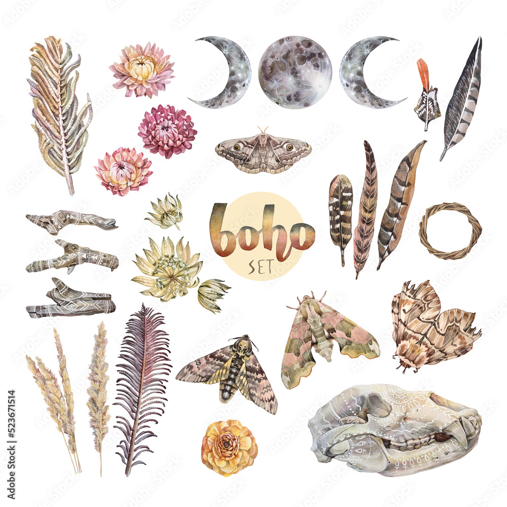 Watercolor boho set with dry flower and moth, moon and fern . Clipart ...