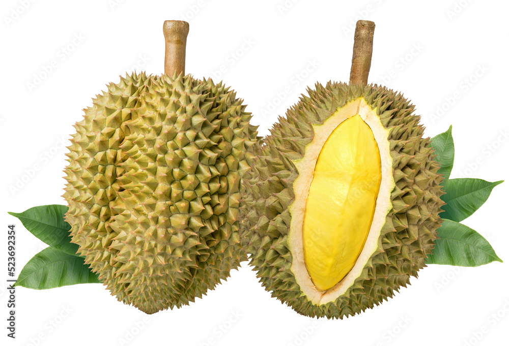 Fresh durian with leaf isolated on white background, Durian fruit ...