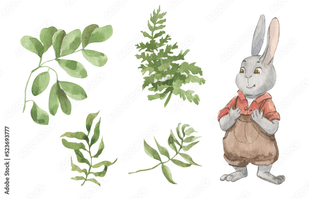 Watercolor illustration of a rabbit in clothes, branches of greenery ...