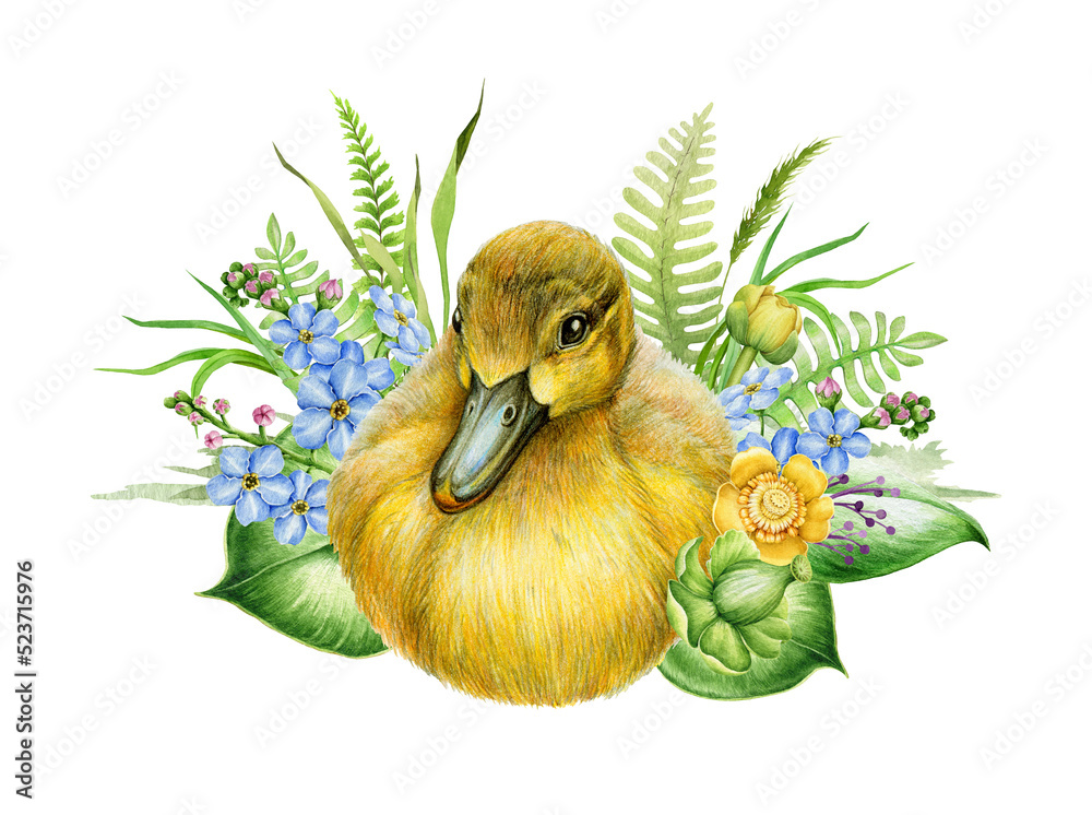 Small duckling with flowers sitting in the green grass. Hand drawn ...