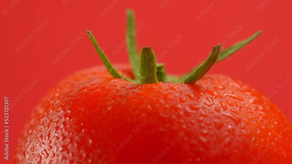 tomato rotates close-up. 360 rotation. fresh, washed tomato in water ...
