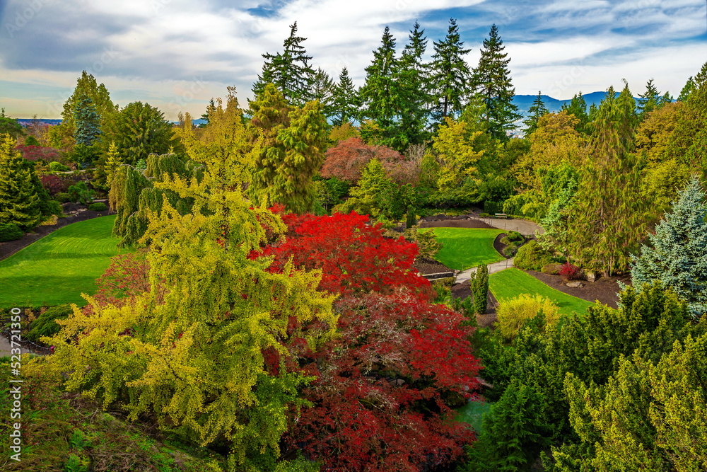 Fragment of Queen Elizabeth Park, autumn landscape pedestrian bridge ...