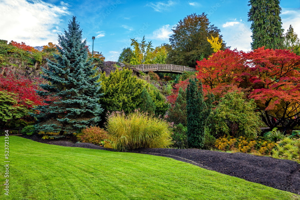 Fragment of Queen Elizabeth Park, autumn landscape pedestrian bridge ...
