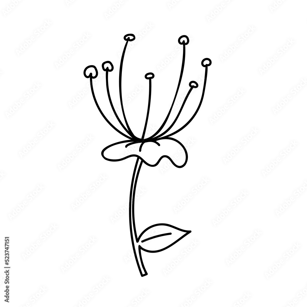 Flower outline. Hand drawn floral elements for design. Sketch drawing ...