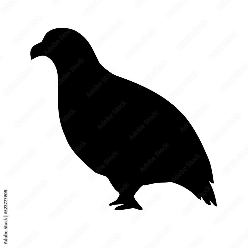 Vector hand drawn partridge bird silhouette isolated on white ...