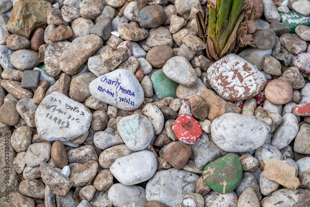 creative Stock Photo | Adobe Stock