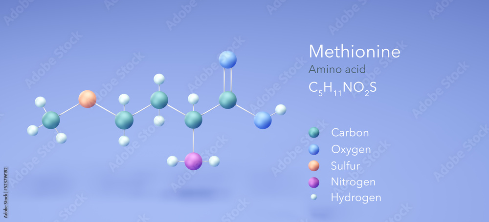 Methionine, Amino acid, molecular structures, 3d rendering, Structural ...