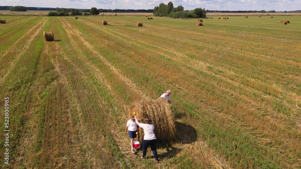 Vidéo Stock Family with son run around haystack and play, aerial view ...