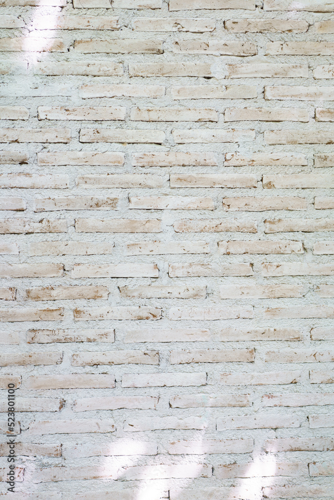 The wall is made of brick and then painted in white. There are creepers ...