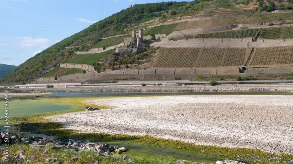 Rhine River nearby Bingen, Germany - Visible rocks and sandbars due to ...