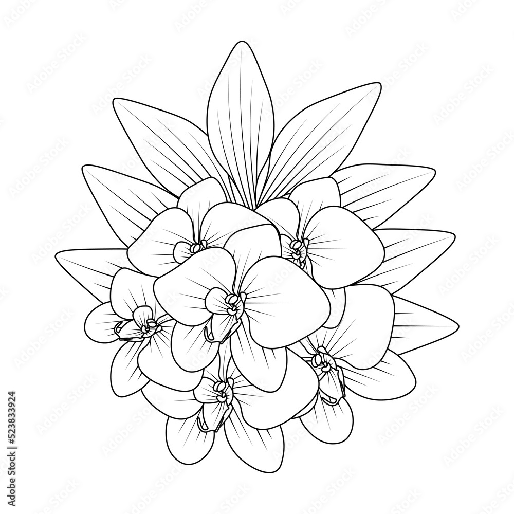 Orchid Flower Outline Line Coloring Page Of Easy Sketches Hand Drawing