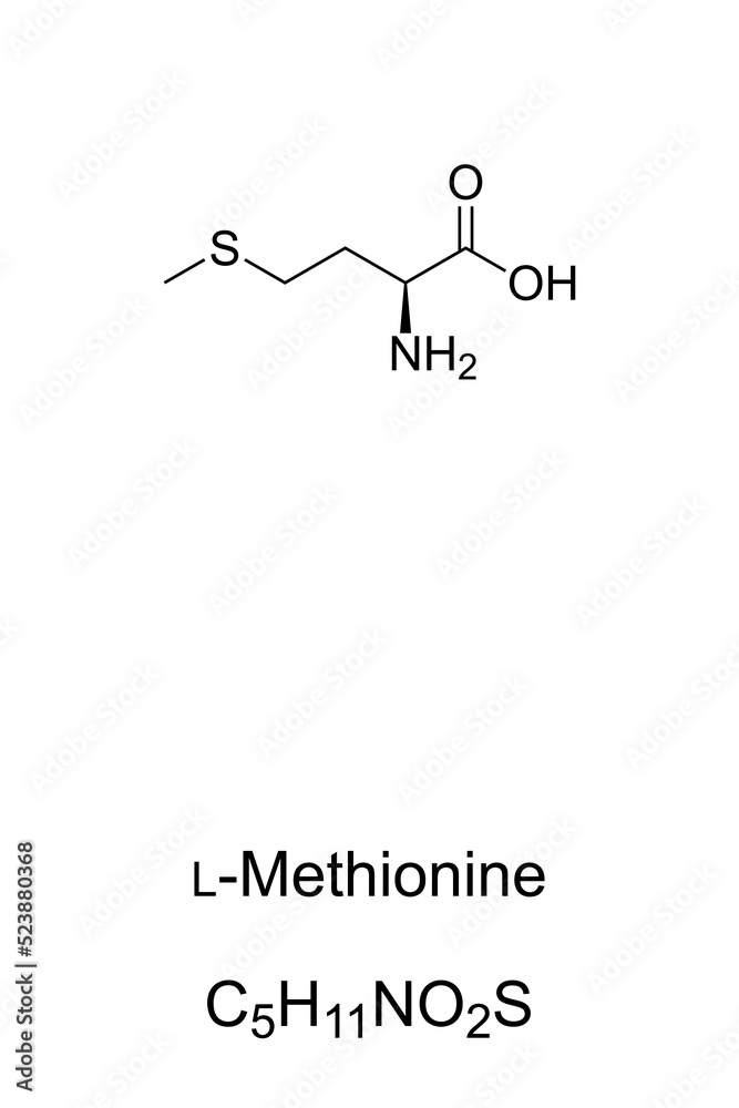 L-Methionine, chemical formula and skeletal structure. Essential amino ...