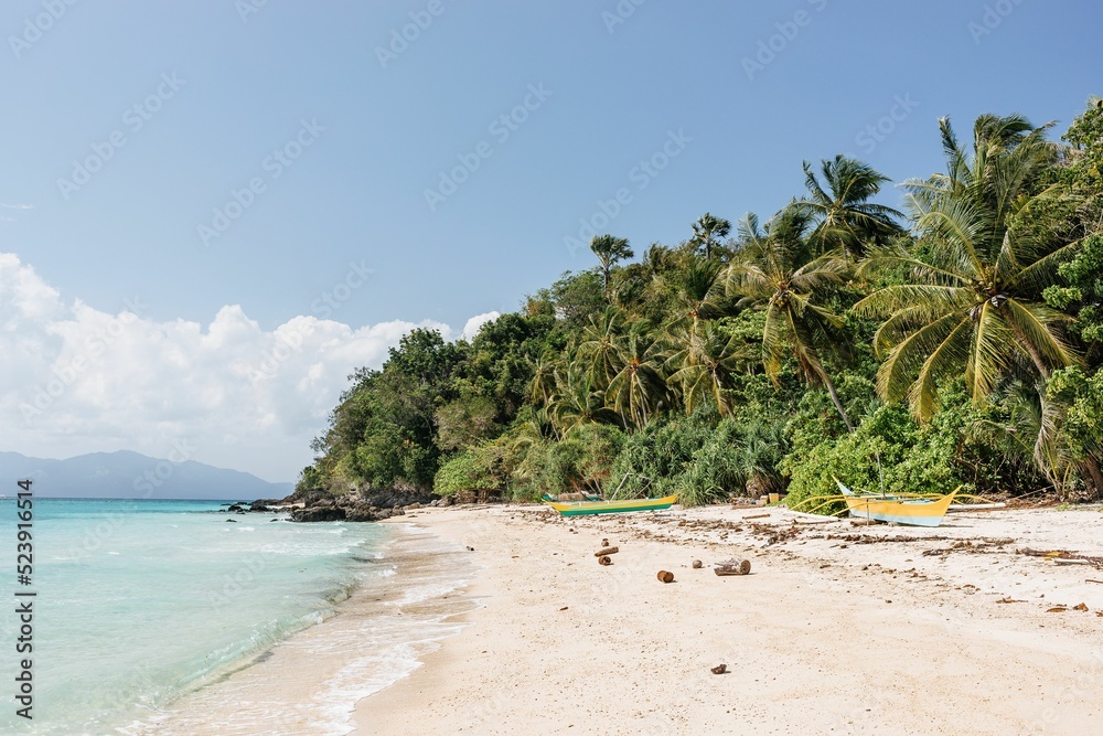 Tranquil scenery of the untouched Romblon beach with palm trees in the ...