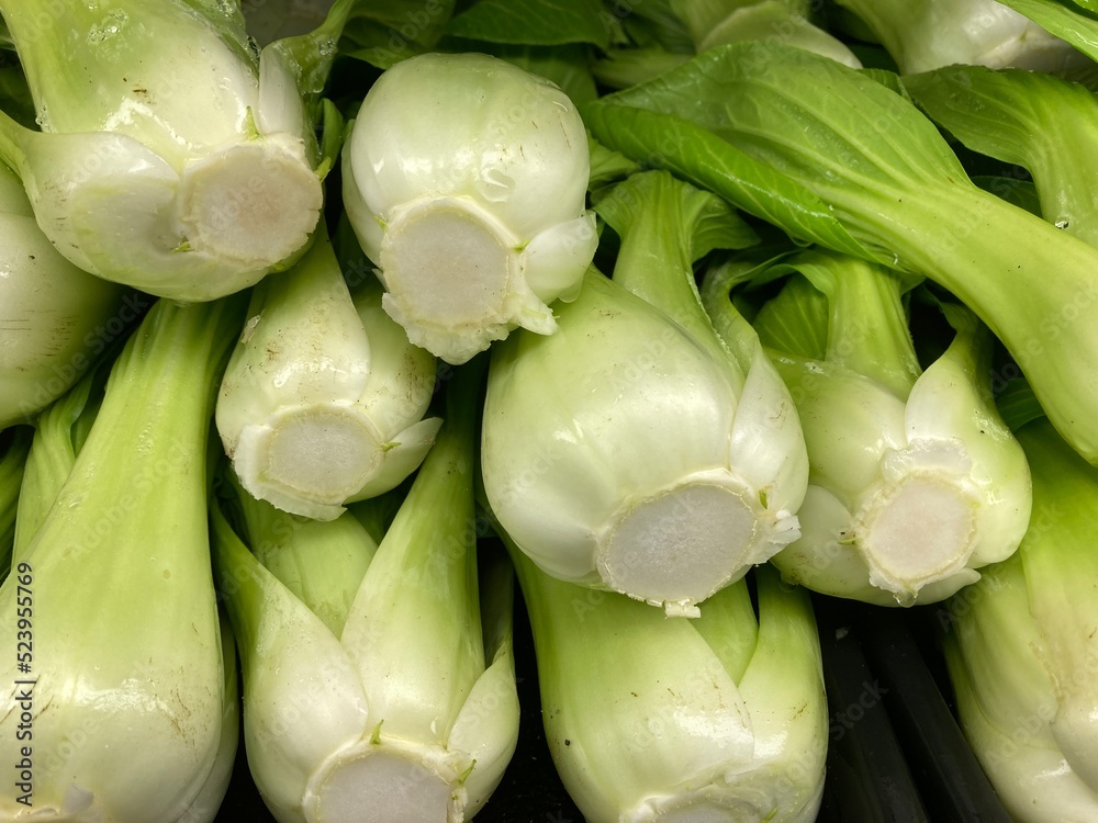 Fresh bok choy vegetable on display in the vegetable section of a ...