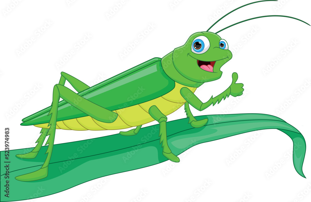cute cartoon grasshopper thumbs up Stock Vector | Adobe Stock