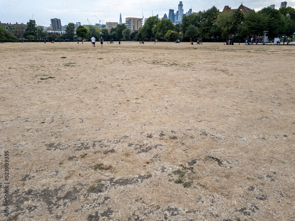 A urban park with dried up, dead grass as global warming resulted in ...