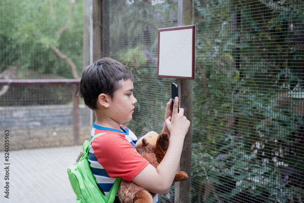 School kid using mobile phone taking photo of animal in the cage in the ...