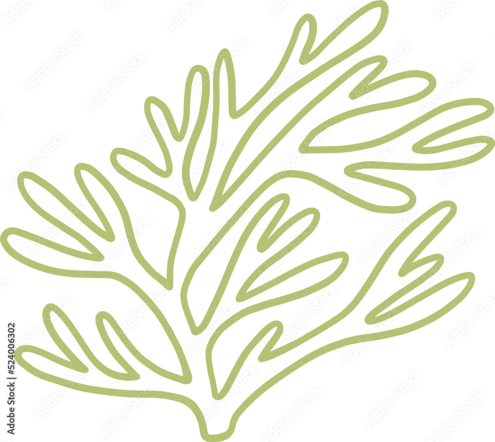 seaweed line art drawing Stock Vector | Adobe Stock