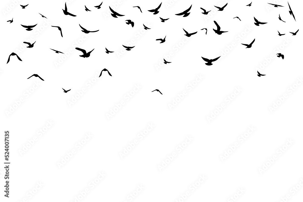 Flying birds. Decoration element from scattered silhouettes. Stock ...