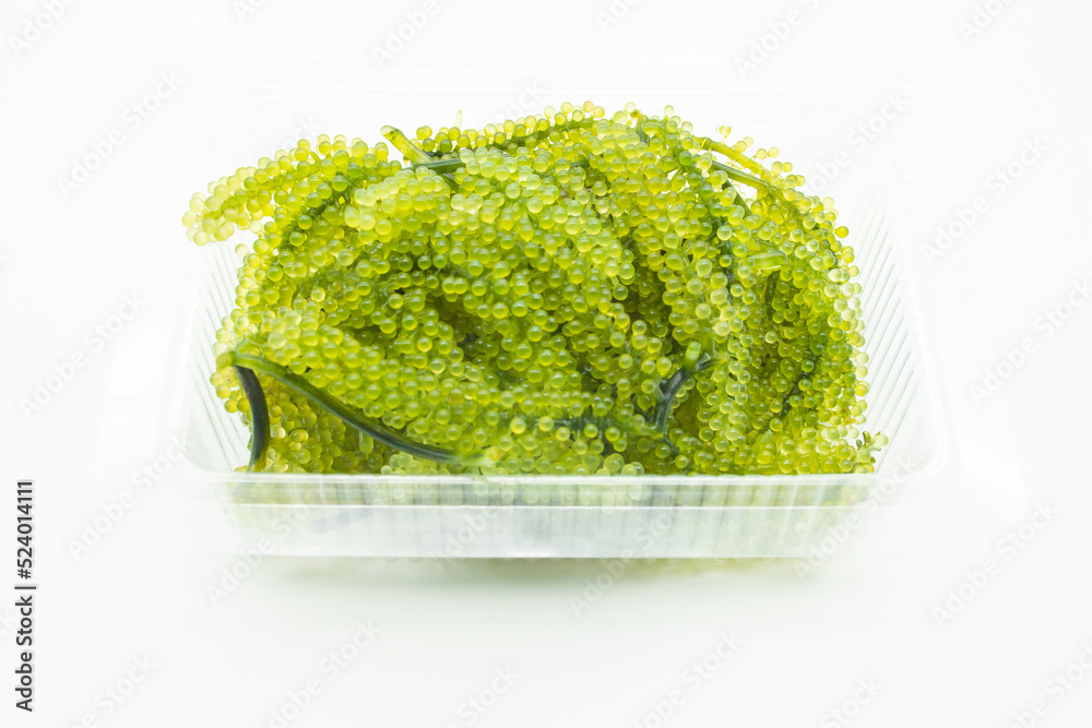 Close-up of Sea Grapes seaweed on the white background(Caulerpa ...