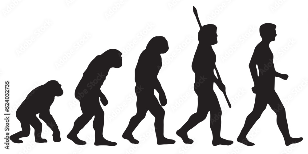 Darwin's evolution of the human. Silhouettes with the different steps ...
