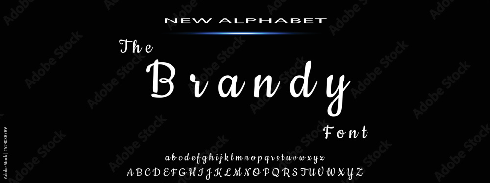 THE BRANDY FONT Elegant alphabet letters font and number. Classic ...