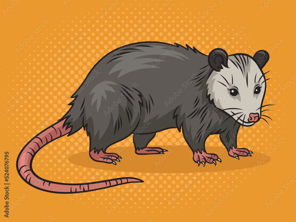 Opossum possum animal pop art retro vector illustration. Comic book ...