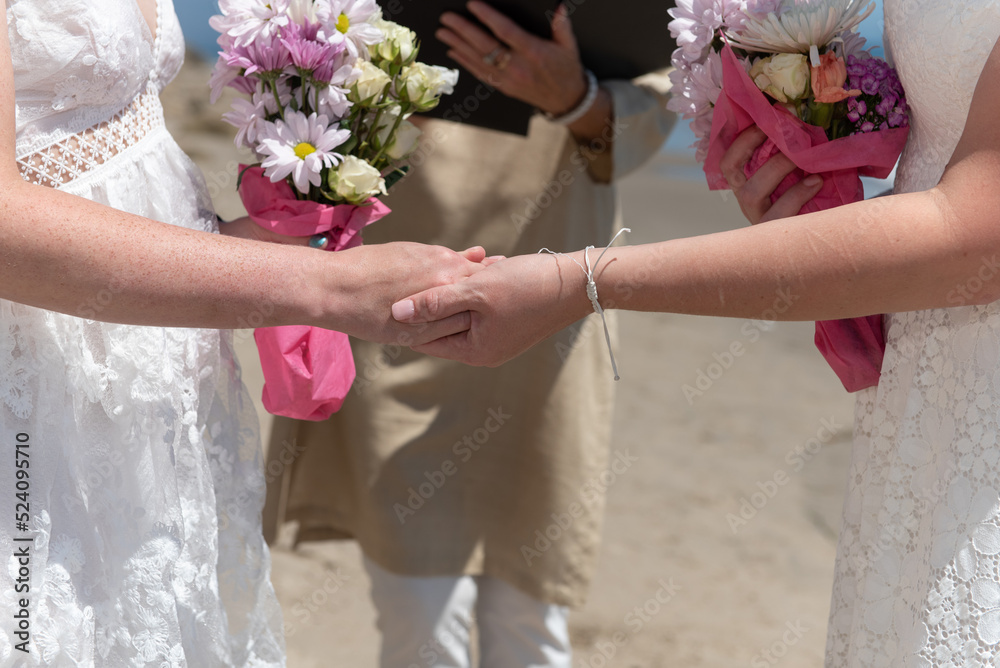 Brides holding hands while expressing their love for each other with ...