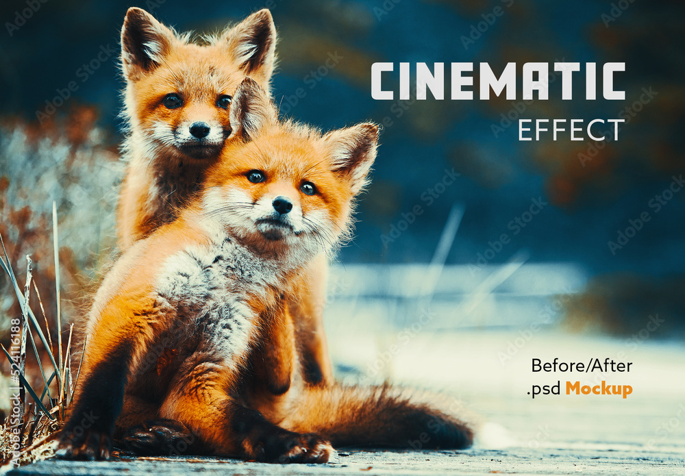 Before and After Photo Effect Stock Template | Adobe Stock