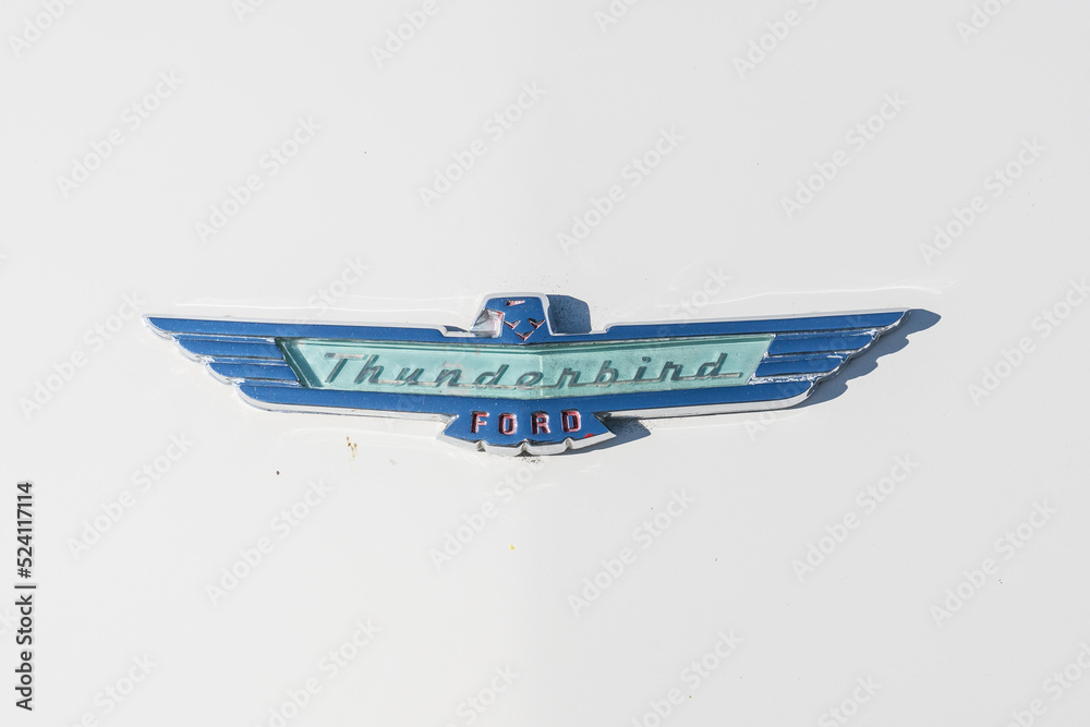 Thunderbird Car Logo
