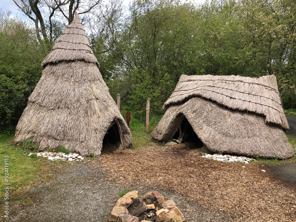 Reconstruction of viking settlement in Irish National heritage park in ...