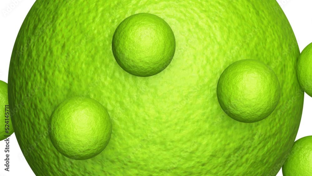 Realistic satisfying looping 3D animation of the beautiful lime peel ...