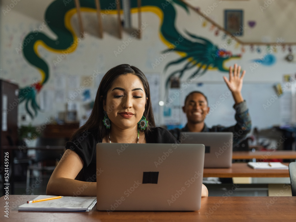 Native girl student looks at her computer while Native boy student ...