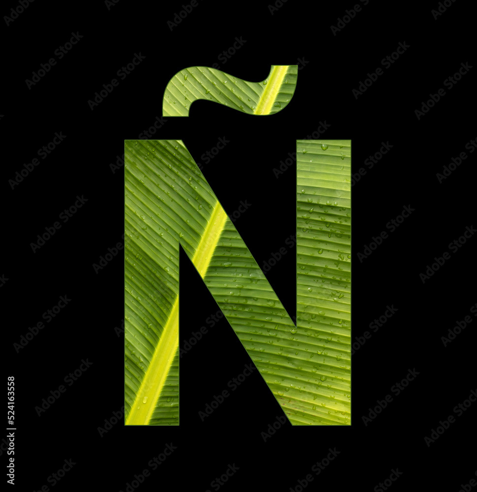 Alphabet Letter Ñ - Banana plant leaf background Stock Illustration ...