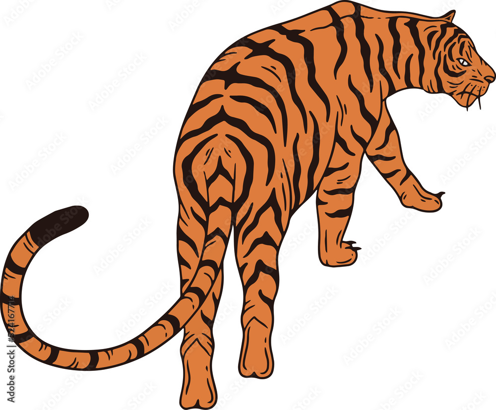 Tiger Pose Wild Animal Jungle Safari Vintage Clipart Cartoon Stock ...
