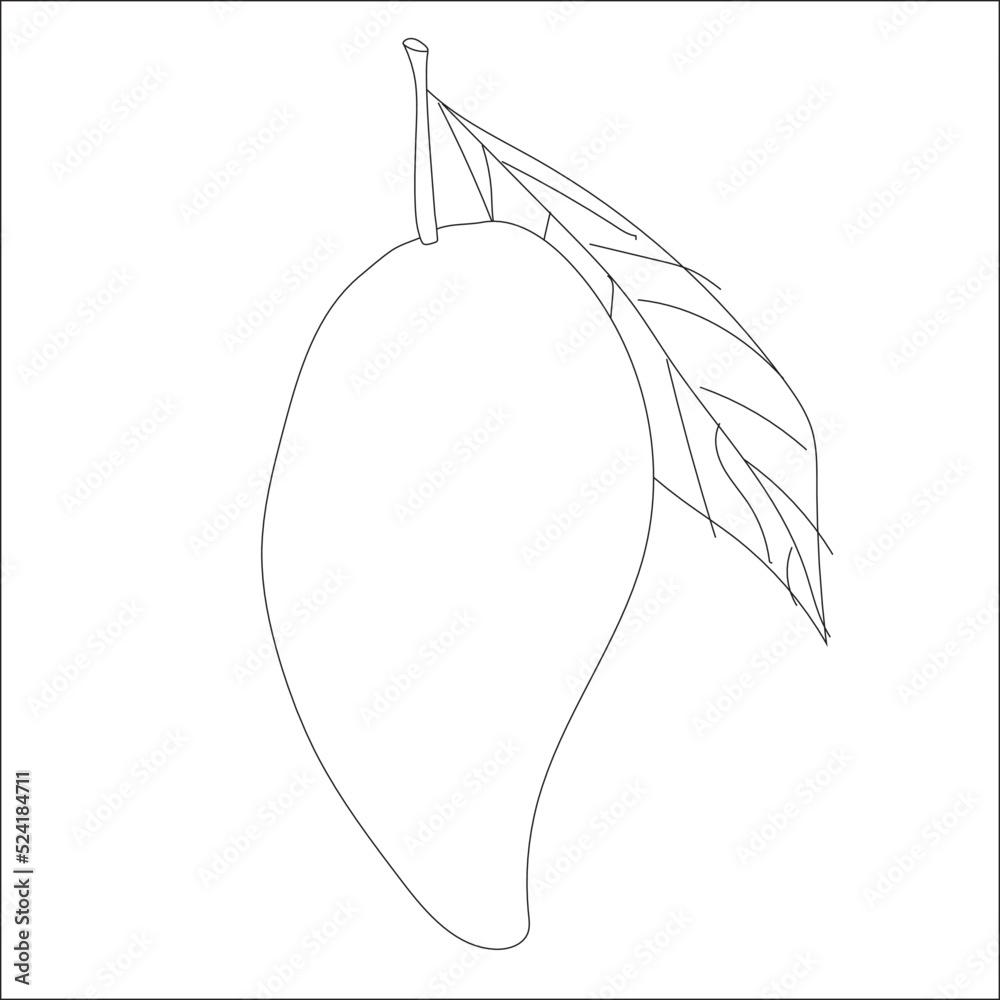 Vector illustration. Basic black lines of mango (Mangifera indica) and ...