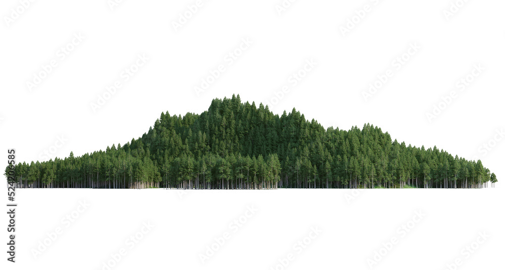 Coniferous forest on a transparent background Stock Illustration ...