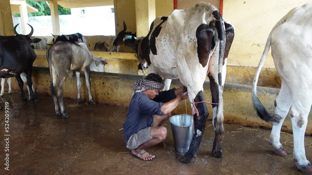 Bangalore, India 14th March 2022: A young Indian male also known as ...