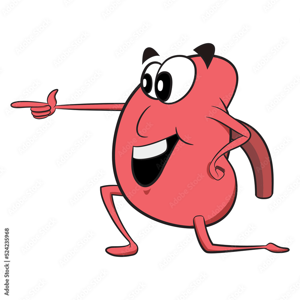 Kidney Character in cartoon style pointing left Stock Illustration ...