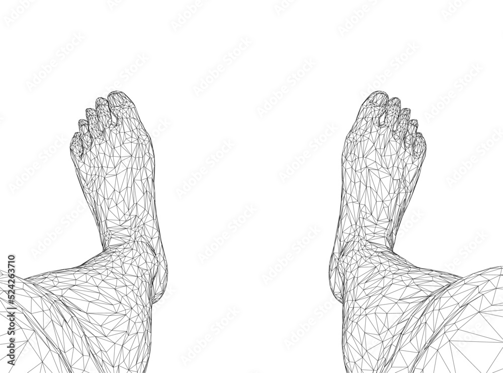 Wireframe of human legs from black lines isolated on white background ...