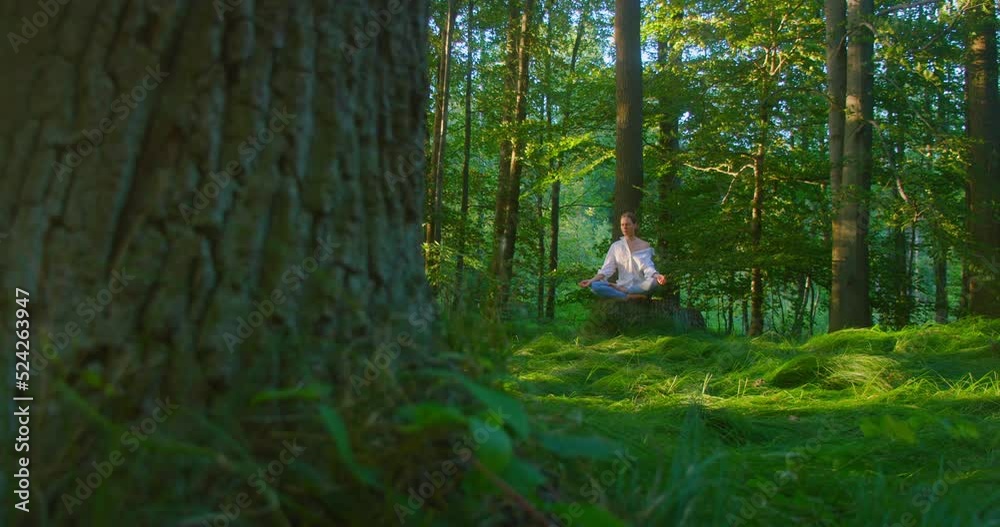Beautiful woman meditate sitting on ground stump in heart of forest ...