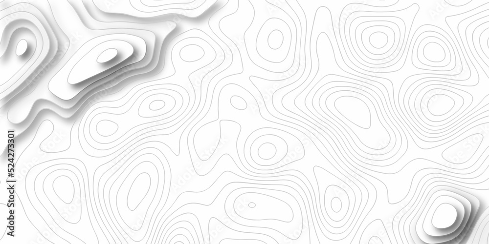 abstract vactor white lines pattern and Topographic and maunt,river,sea ...