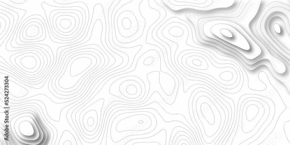 abstract vactor white lines pattern and Topographic and maunt,river,sea ...