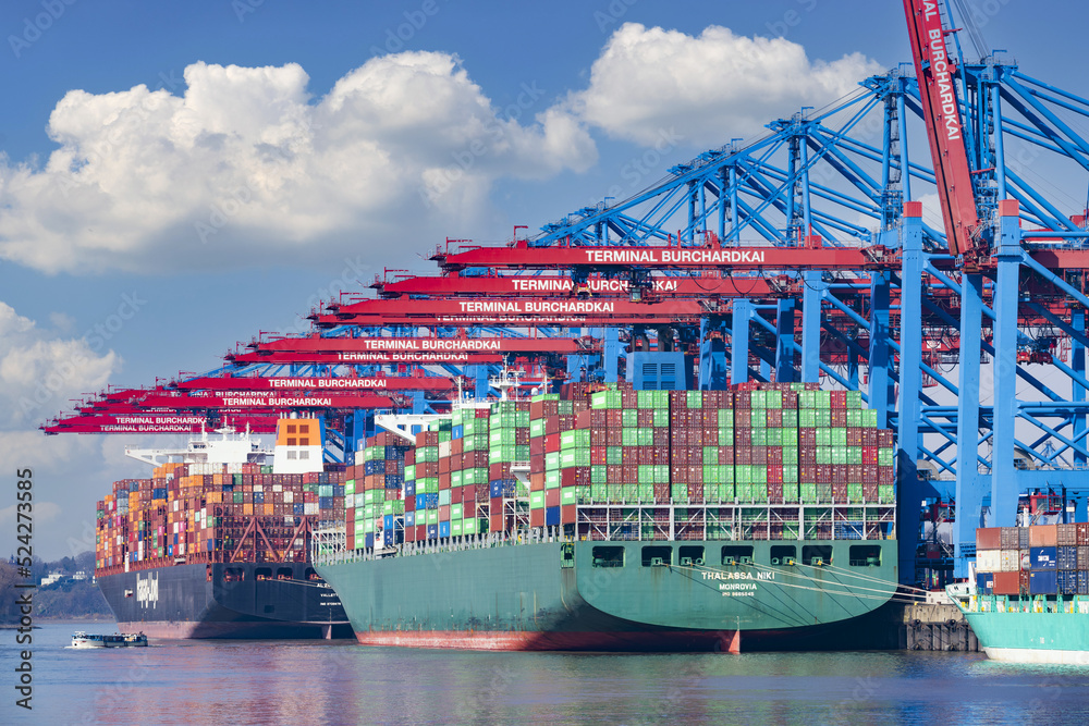 Container ships Al Zubara and Thalassa Niki in the port of Hamburg at ...